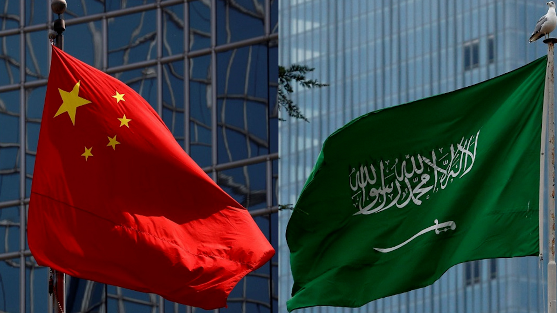 സൗദിയിൽ ചൈനീസ് ഫാക്ടറികളുടെ മേഖല കേന്ദ്രം സ്ഥാപിക്കുന്നു | Malayalam News