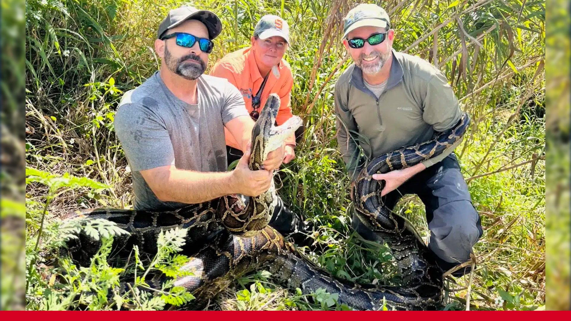 16 аґ аґџаґї аґ аґ аµќаґ аґїаґ аµќаґ аµ аґ аґёаґїаµѓаґџаµ аґ аґїаґ аґ аµќаґ аµ аґ аµќаґ аґѕаµѕ аґёаµ